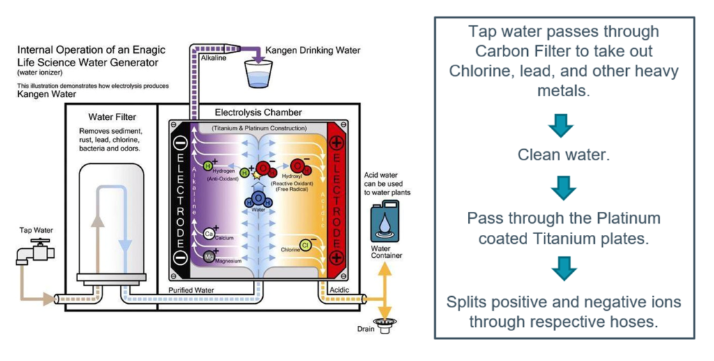 The science behind this Kangen water, and why it works so well ...